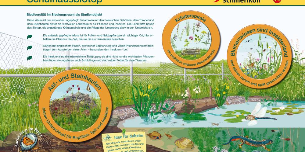 Schulbiotop | Mission B